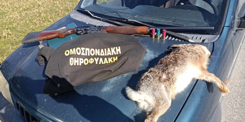 Ομοσπονδιακή Θηροφυλακη: Συνέλαβε στον Φενεό επίδοξους ΛΑΘΡΟΘΗΡΕΣ ...